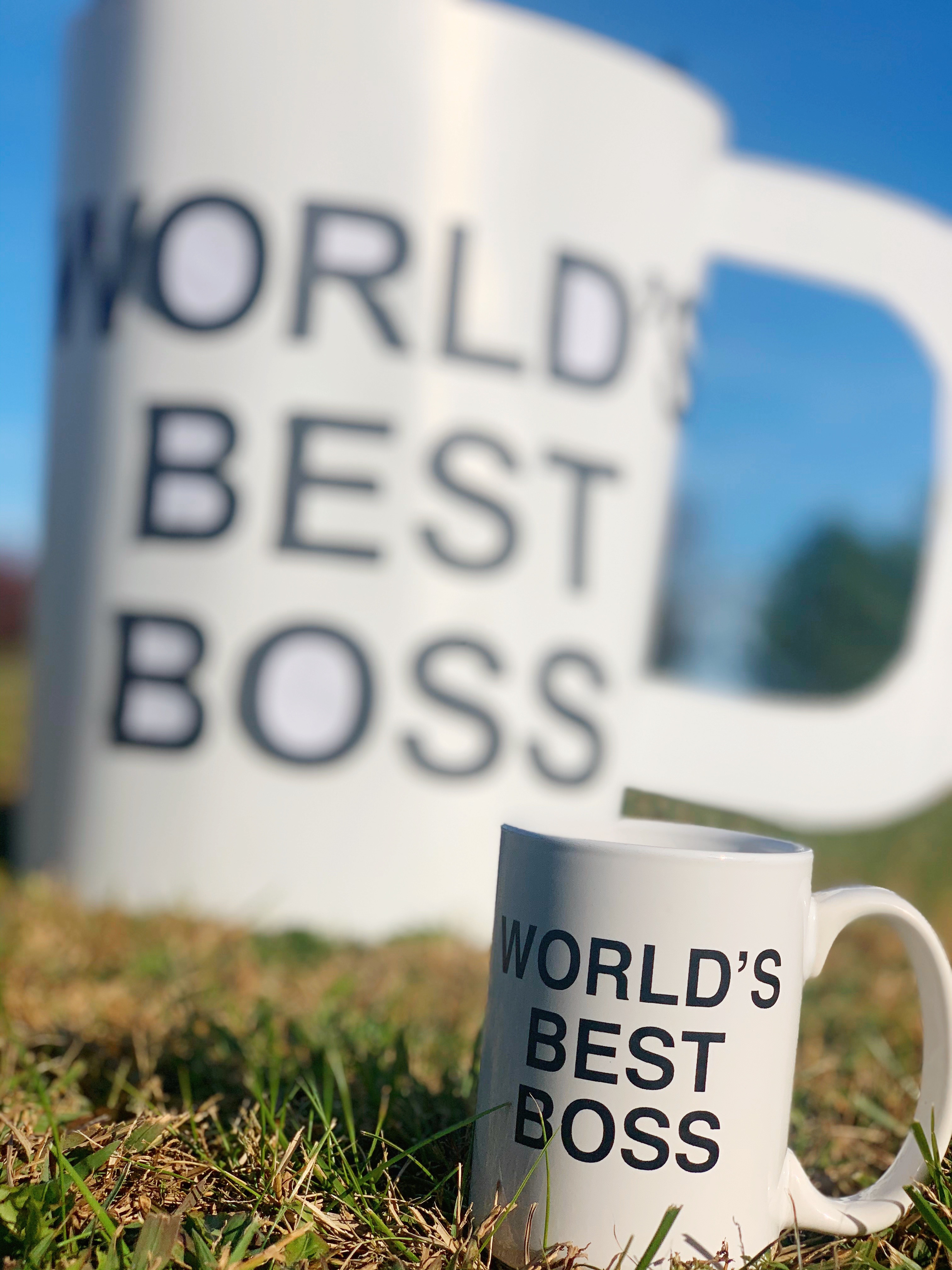 DIY “World’s Best Boss” Mug Costume – Auburn Artisan