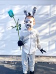 Shrek Family Costume – Auburn Artisan